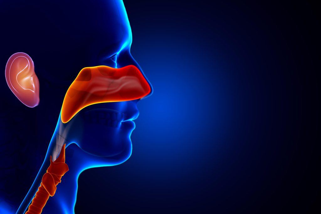 Pediatrics Services - RSP Hospital